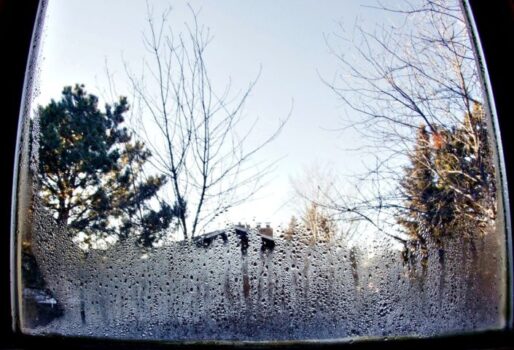 Got Window Fogging Issues In Your House? (Me Too) Here's The Best ...