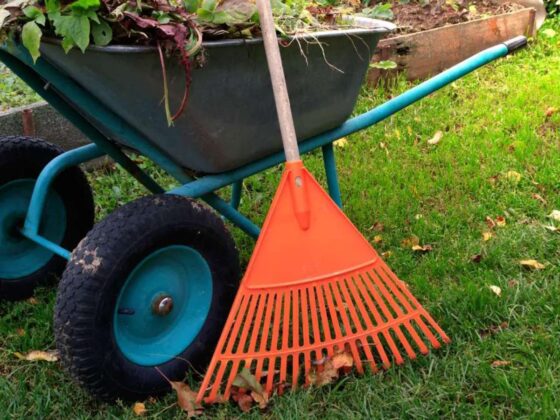 7 Essential Garden Tools You Need For Easy Gardening | DIY Household ...